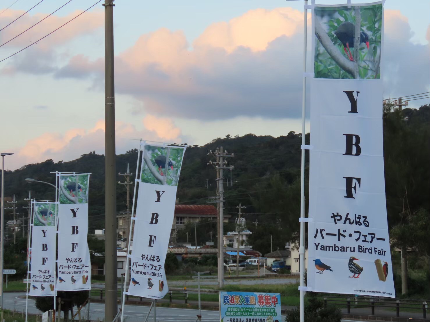 YBF (Yambaru Bird Fair) Okinawa – 沖縄やんばる（Yambaru)にあるバーダーの為の情報交換ホームページです